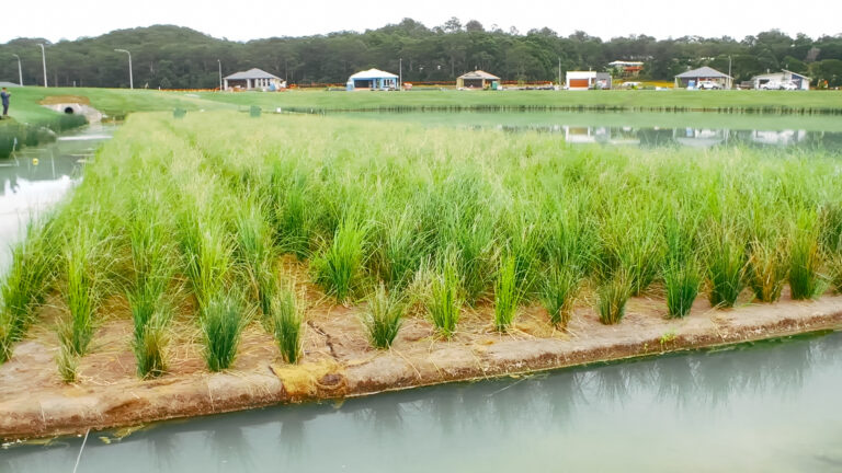 Floating Wetlands – Spel Stormwater Australia